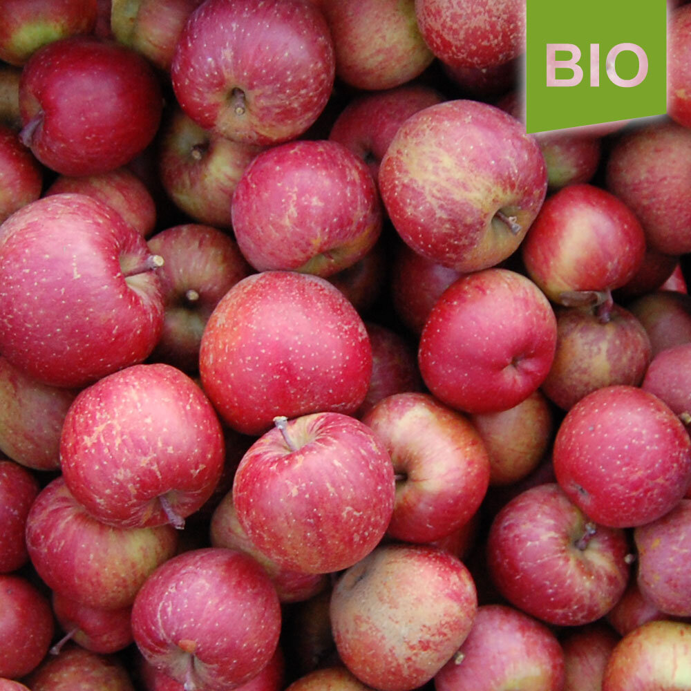 Bio-Apfel Fuji, 1,59