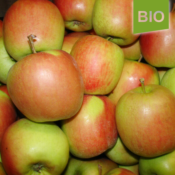 Frische Bio-Äpfel direkt vom Obsthof
