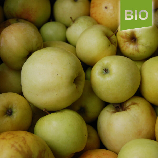 Holsteiner Cox Bio-Äpfel 3kg-Kiste, 20,90