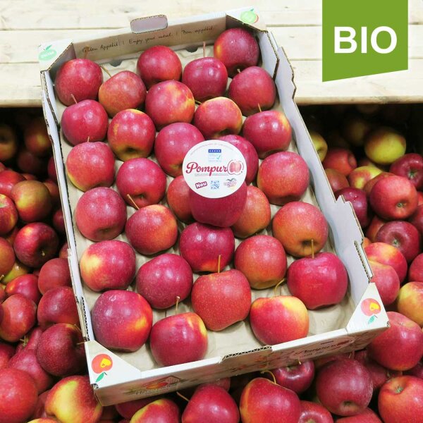 Frische Bio-Äpfel direkt vom Obsthof